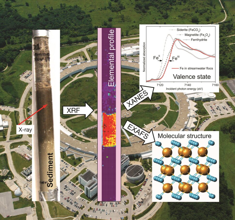 Wetland Hydro-biogeochemistry Science Focus Area - Environmental System ...