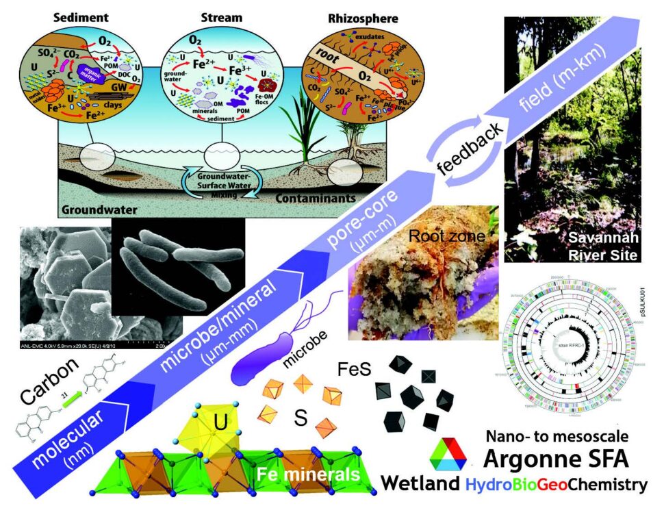 Wetland Hydro-biogeochemistry Science Focus Area - Environmental System ...