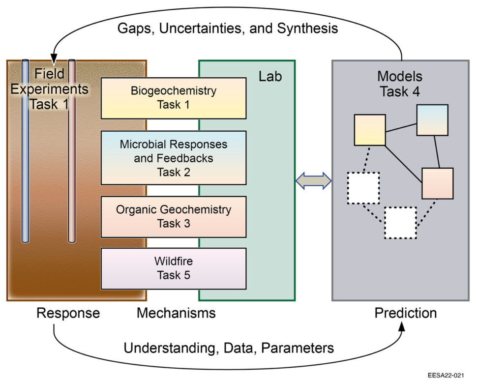 Belowground Biogeochemistry - Environmental System Science Program Environmental System Science ...