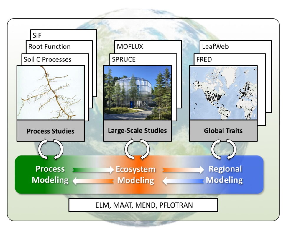 Terrestrial Ecosystem Science - Environmental System Science Program ...
