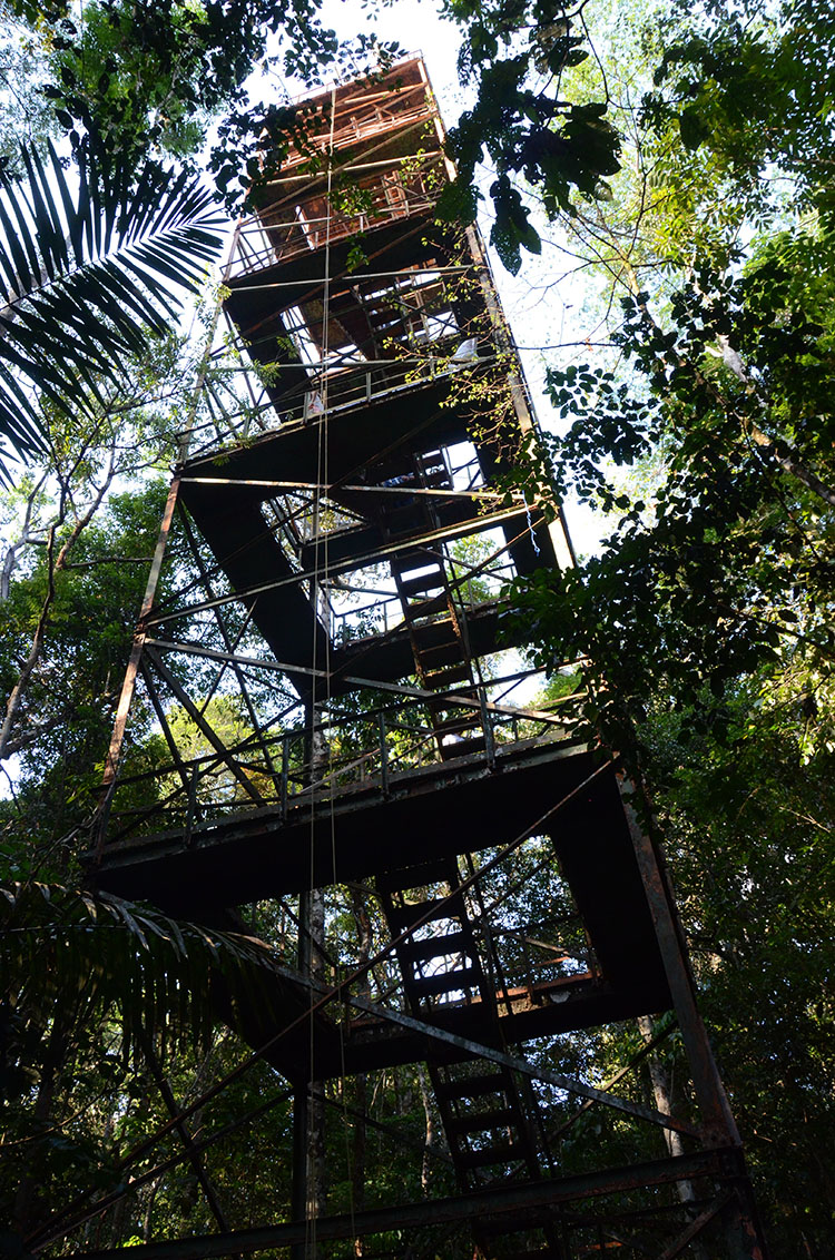 Next-Generation Ecosystem Experiments Tropics « Environmental System ...
