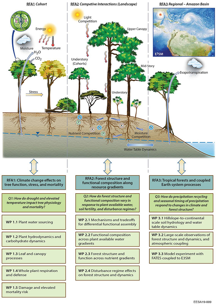 Next-Generation Ecosystem Experiments Tropics - Environmental System ...
