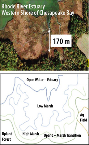 Coastal Observations, Mechanisms, and Predictions Across Systems and ...