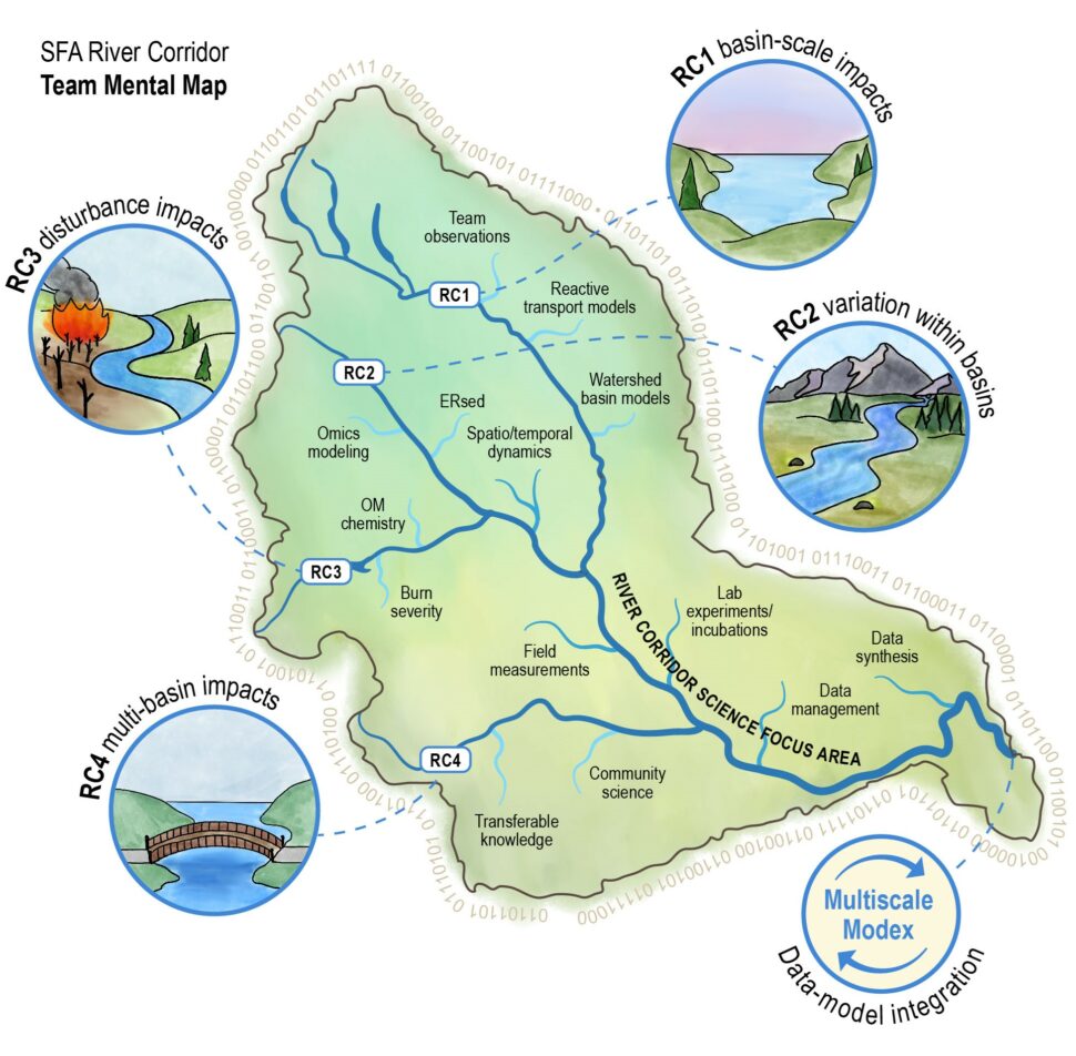 River Corridor and Watershed Hydrobiogeochemistry Science Focus Area - Environmental System ...