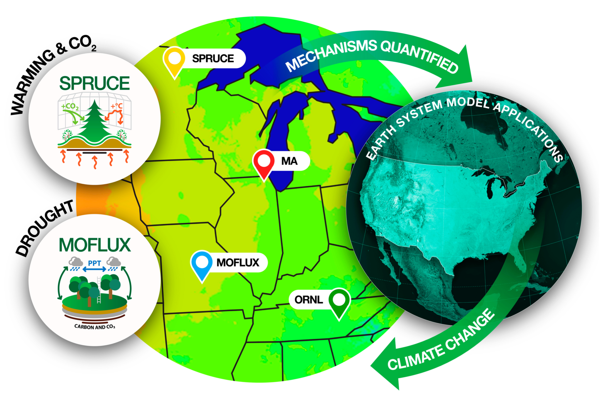 Terrestrial Ecosystem Science - Environmental System Science Program ...
