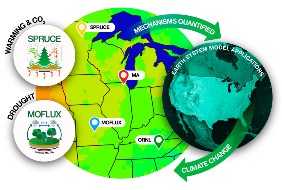 Terrestrial Ecosystem Science - Environmental System Science Program ...