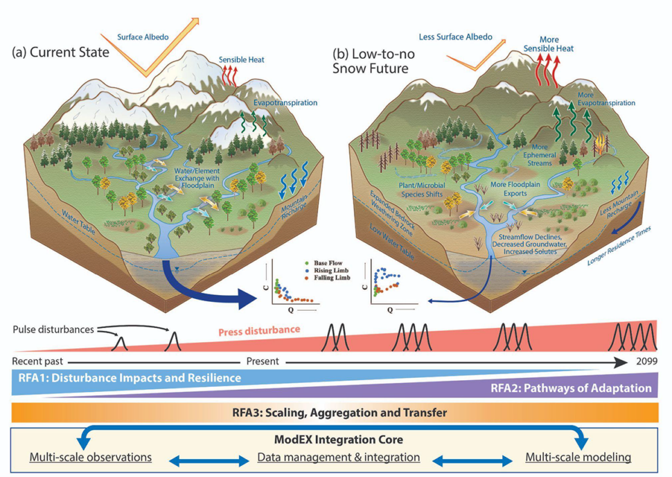 Watershed Function Science Focus Area: Functional Traits and Watershed ...